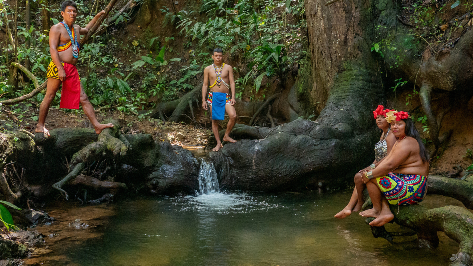 Indigenous Peoples | Together We Support Forests | Forests of the World