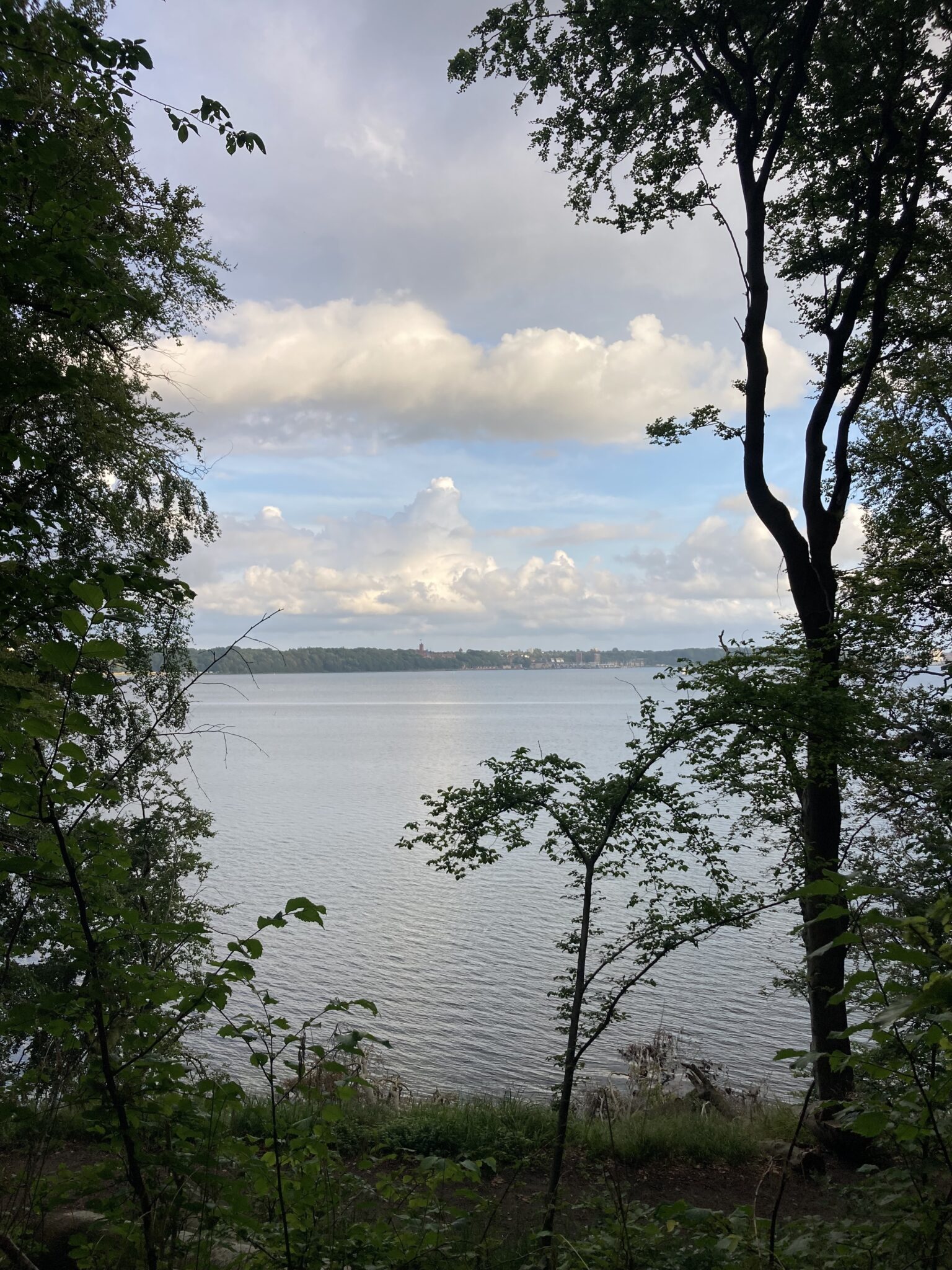 Denmark - Forests of the World