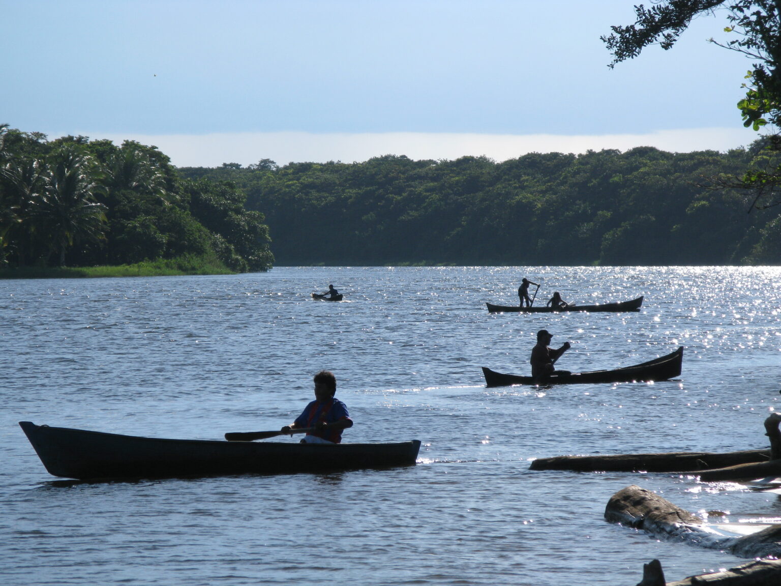 Indigenous Peoples | Together We Support Forests | Forests of the World