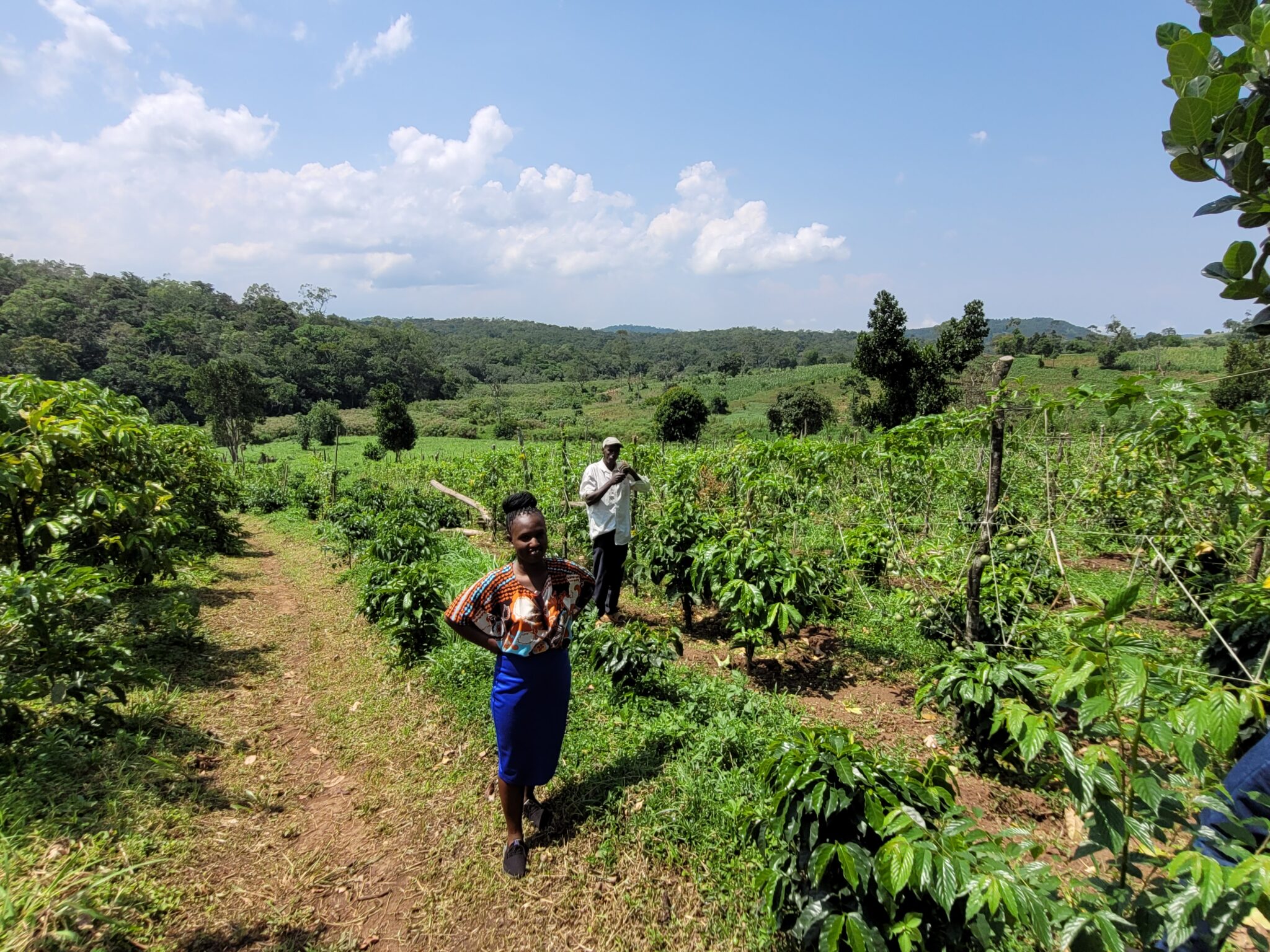 Indigenous Peoples | Together We Support Forests | Forests of the World