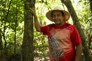 baru - Forests of the World